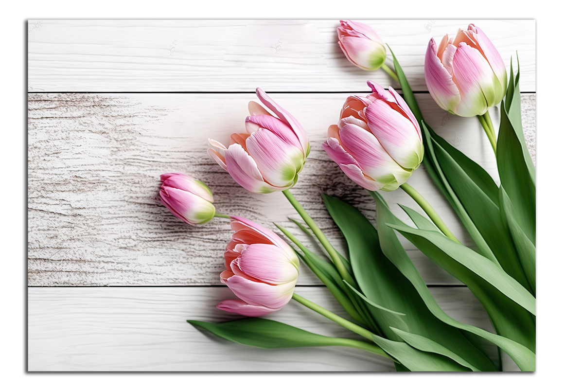 Obdelníkový obraz Růžové tulipány | Colorika.cz