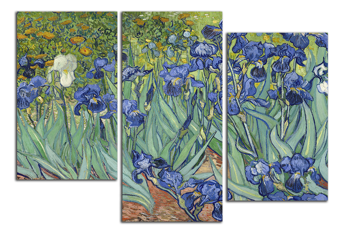 Obdelníkový obraz Kosatce - Van Gogh | Colorika.cz