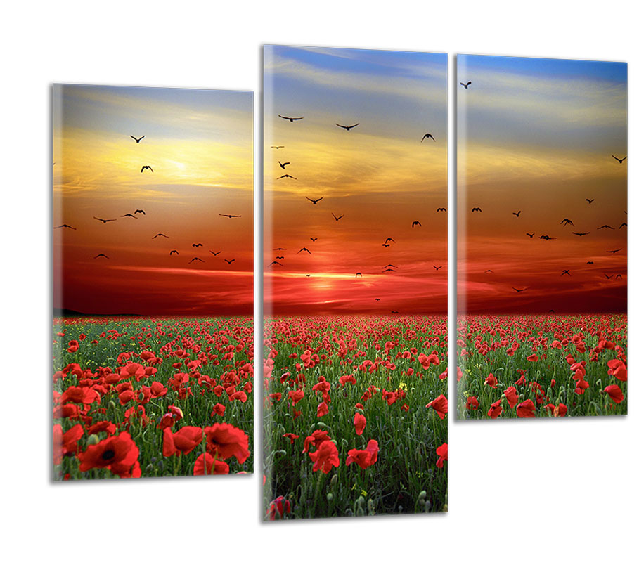 Obdelníkový obraz Máky a pole | Colorika.cz