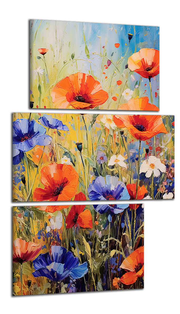 Obdelníkový obraz Barevné louční máky | Colorika.cz
