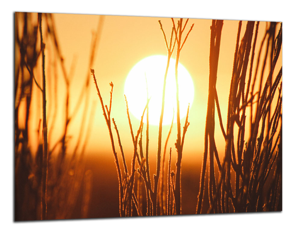 Obdelníkový obraz Slunce | Colorika.cz