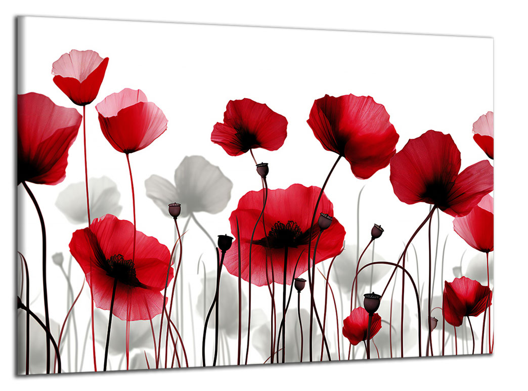 Obdelníkový obraz Rudé máky | Colorika.cz